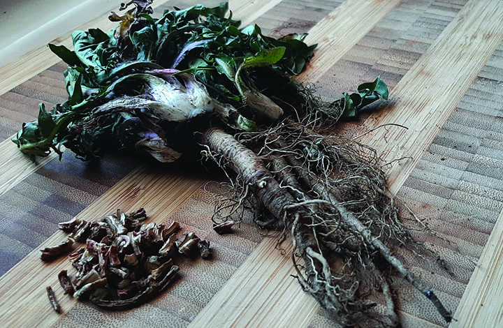 Miracle root proven effective for cancer, diabetes - Alive+Fit